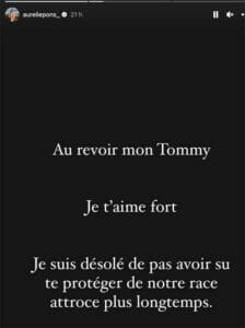 Aurélie Pons en deuil (Ici tout commence) : Tommy son chat est mort ...