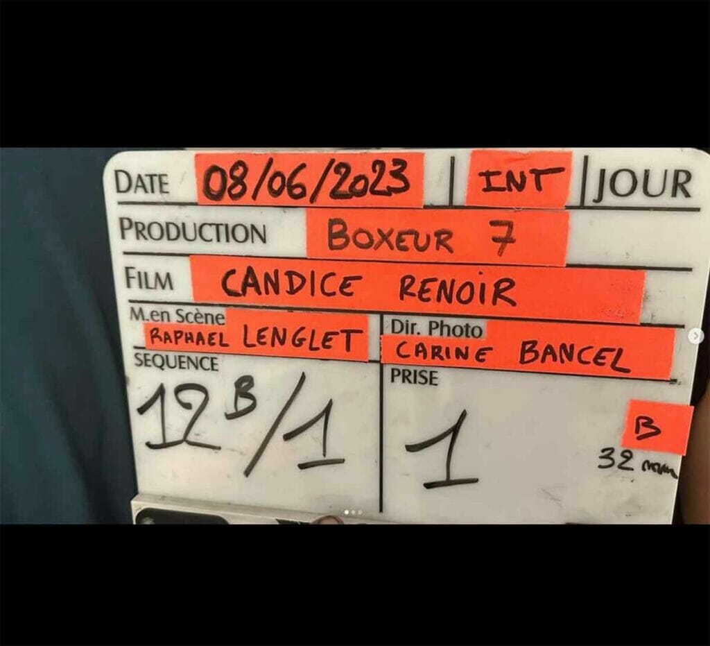 Avis et audience Candice Renoir (France 2) spécial Halloween le ...