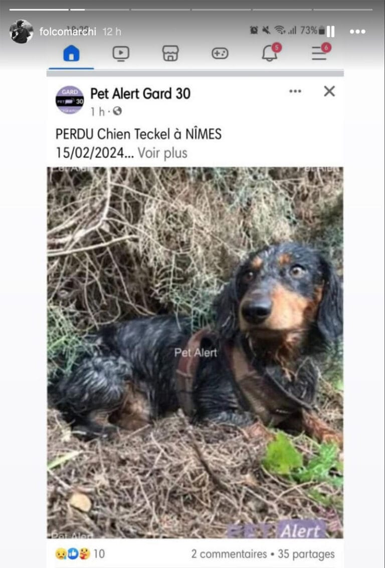 Aidez Folco Marchi (Un Si Grand Soleil) à retrouver son chien Cookie ...
